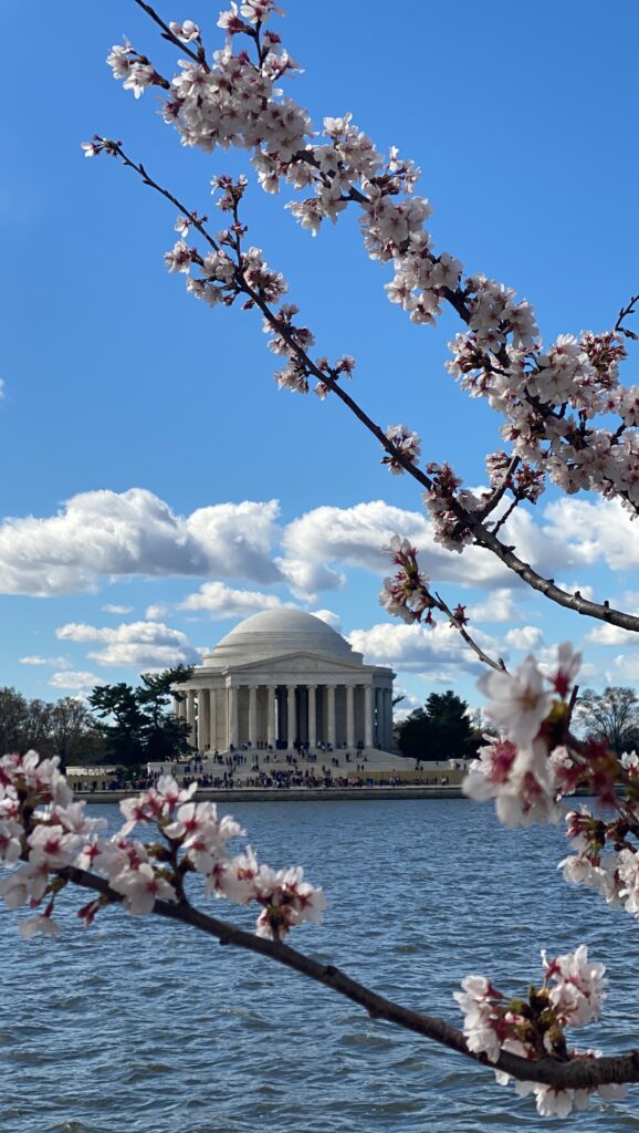 15+ Interesting Fun Facts about Washington DC - The Wandering Afro ...
