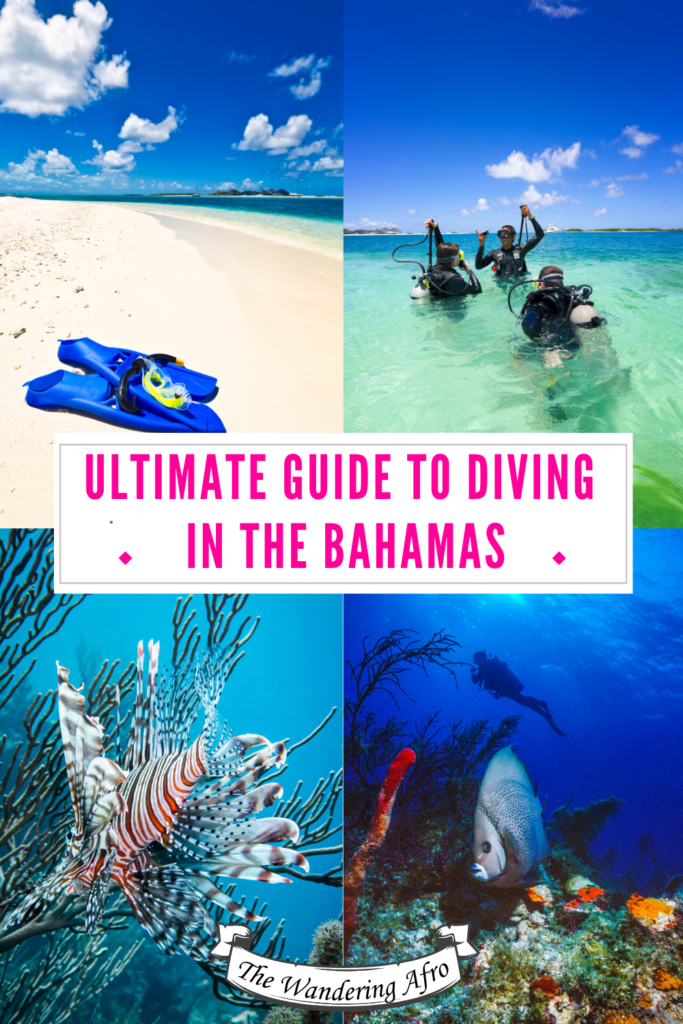 The Ultimate Guide to Diving in the Bahamas - The Wandering Afro:Travel ...