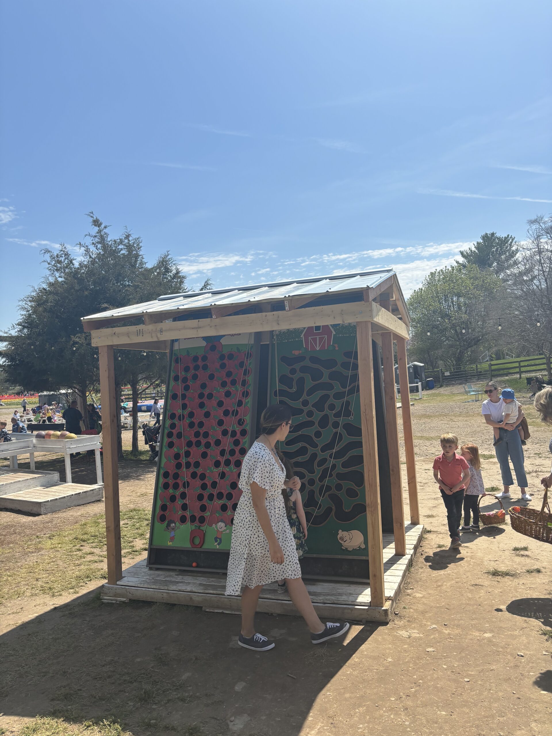 A Guide to Picking Your Own Tulips at Burnside Farms - The Wandering ...