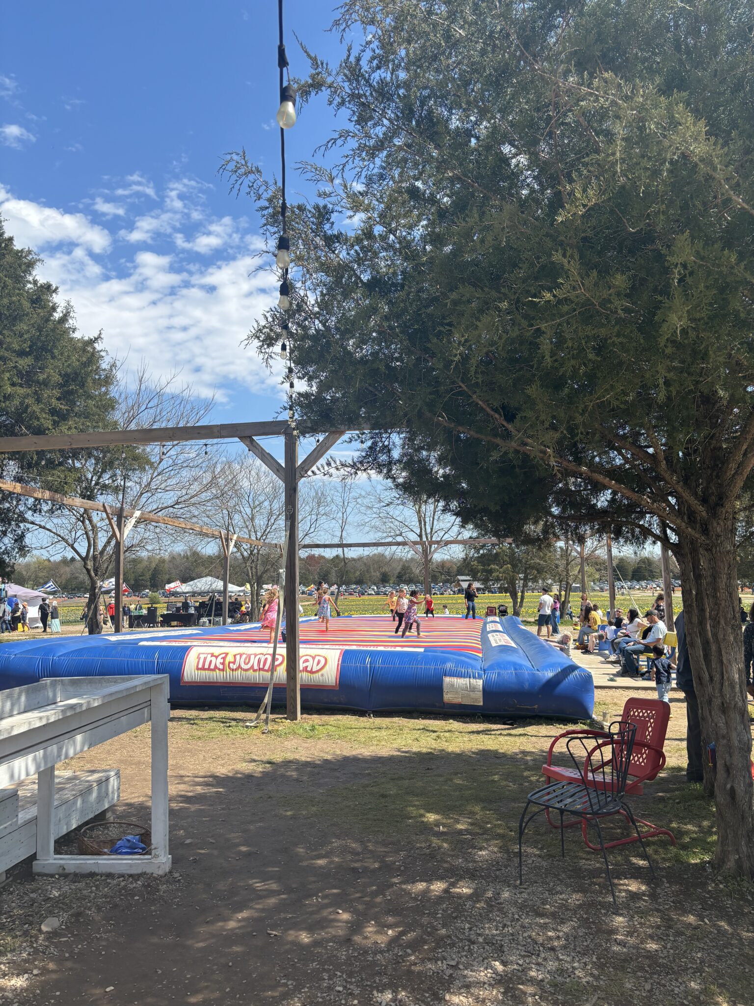 A Guide to Picking Your Own Tulips at Burnside Farms - The Wandering ...