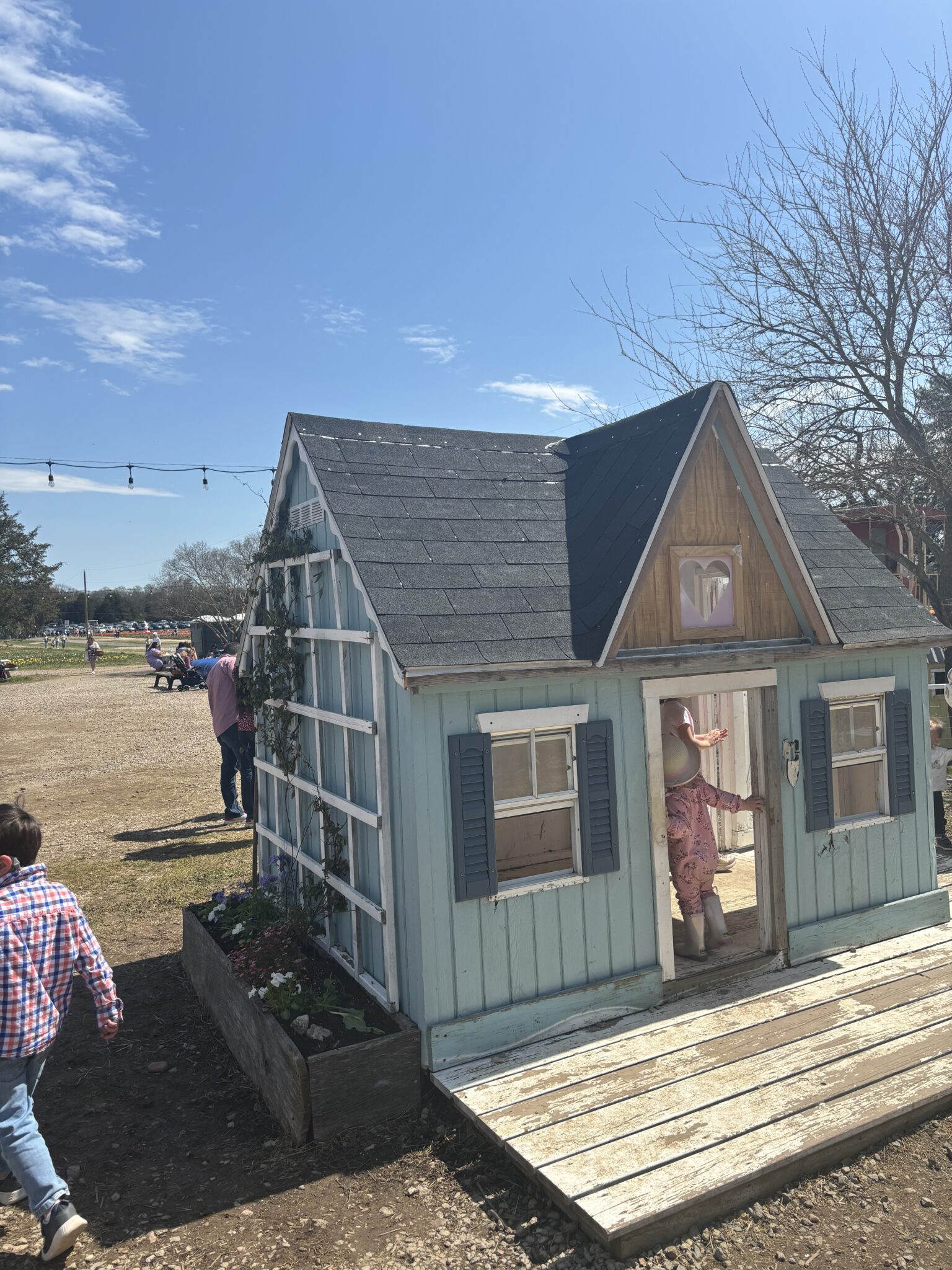 A Guide to Picking Your Own Tulips at Burnside Farms - The Wandering ...