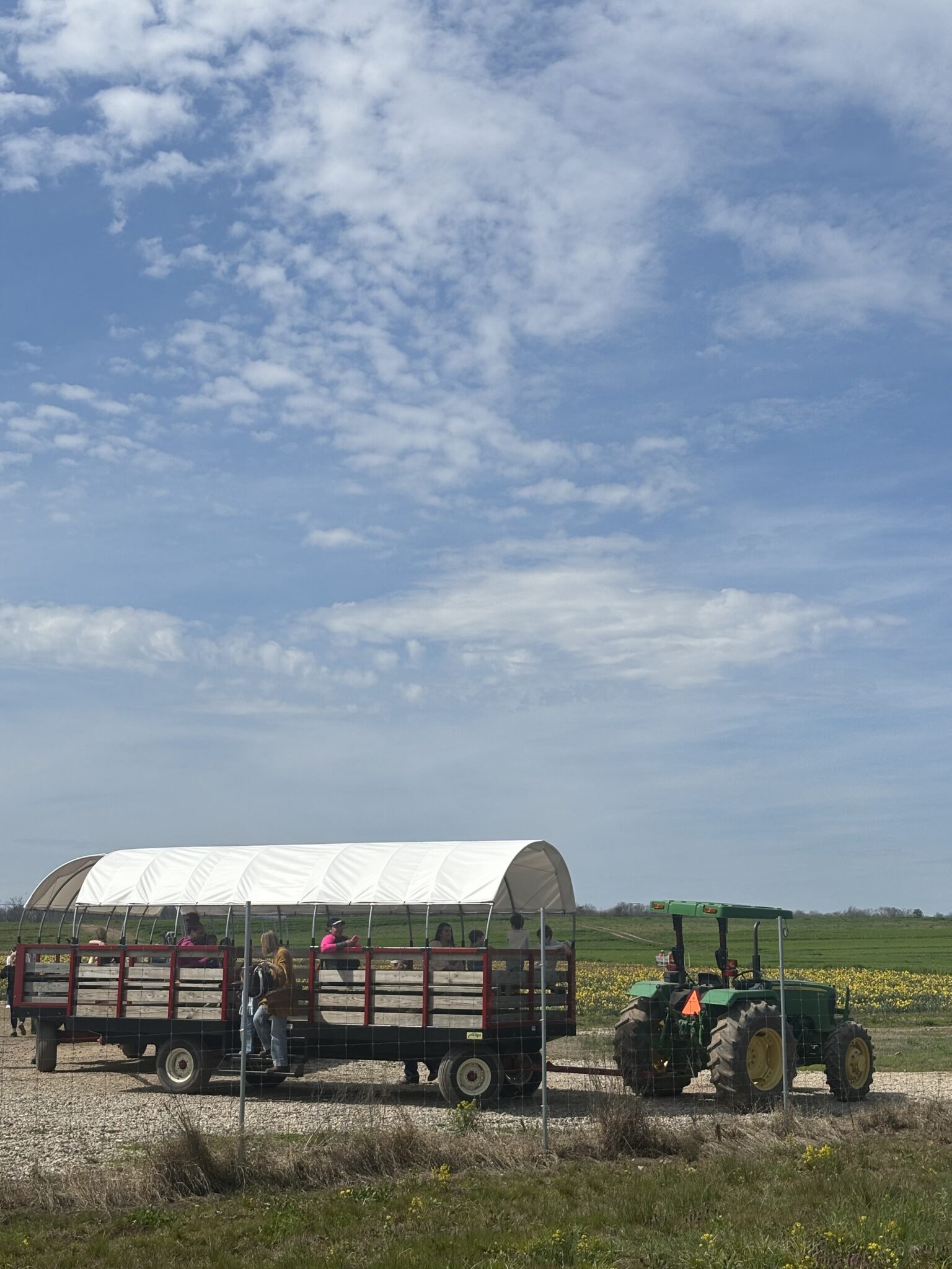 A Guide to Picking Your Own Tulips at Burnside Farms - The Wandering ...