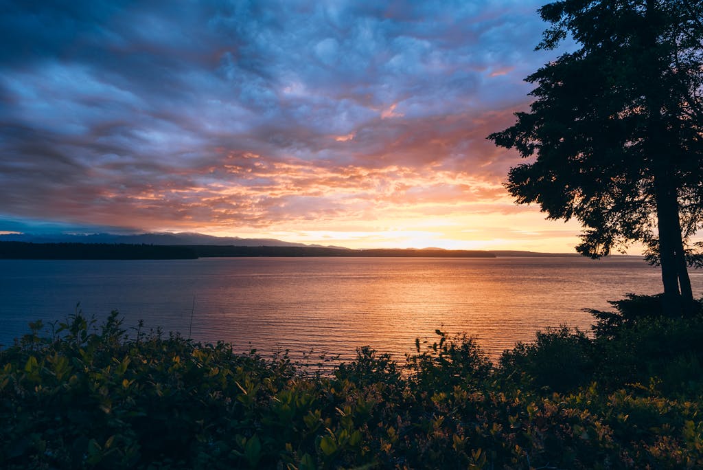 The Best Scenic Drives near Washington DC, Maryland, and Virginia - The ...