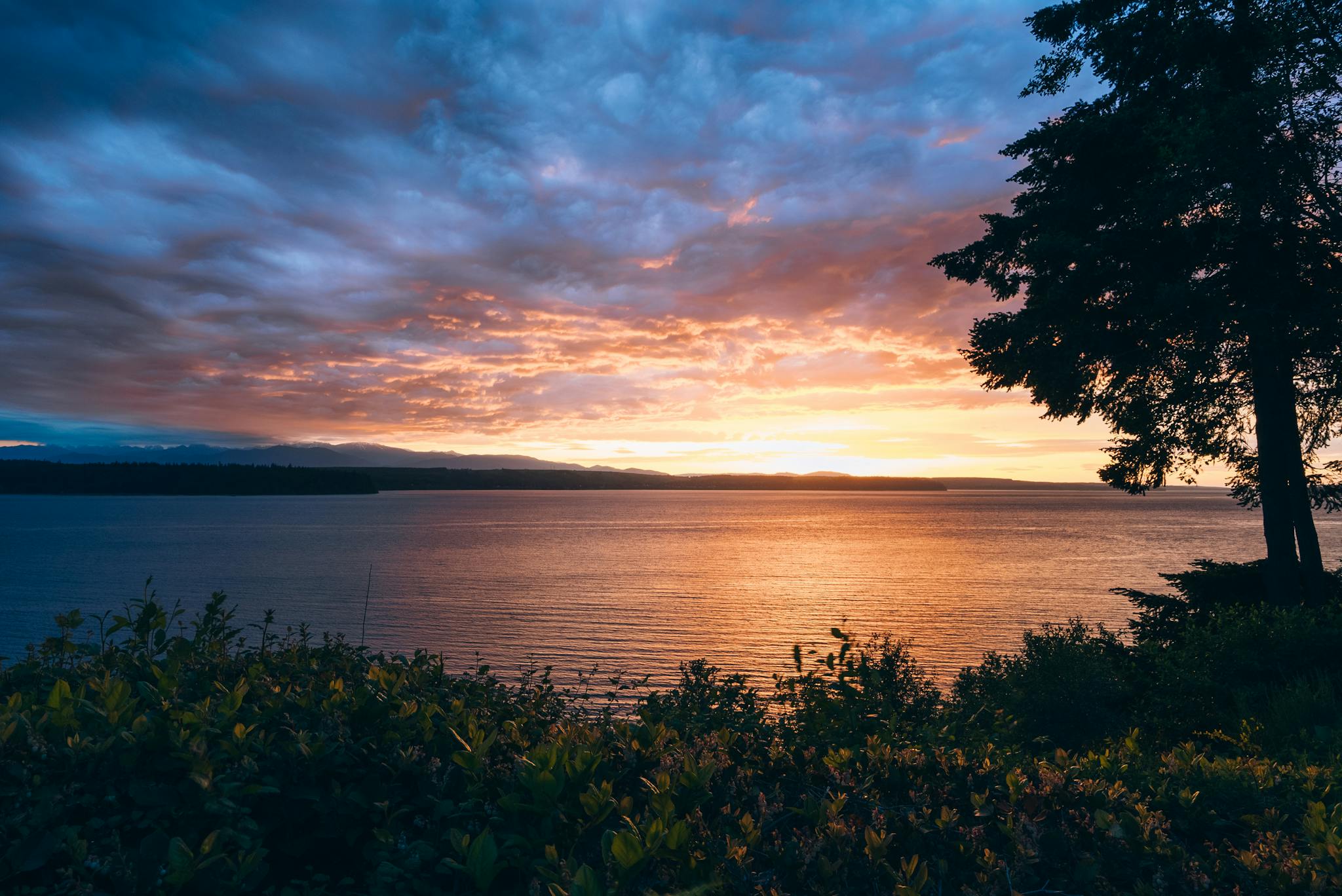 The Best Scenic Drives near Washington DC, Maryland, and Virginia - The ...